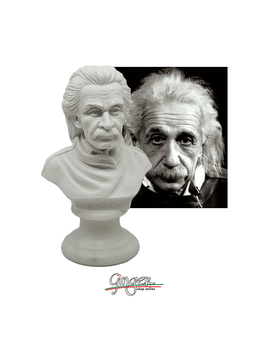 Albert Einsteins Inchinn I Jar Schilderkreis24 – Funny Albert